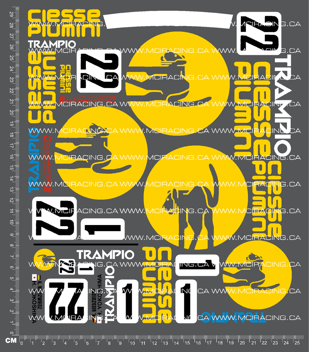 1/10TH TAM - PIUMINI TRAMPIO FOR SIERRA RS500 – Mciracing.ca